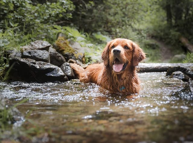 Hotel Amenities | Field & Stream Lodge Co. | Bozeman